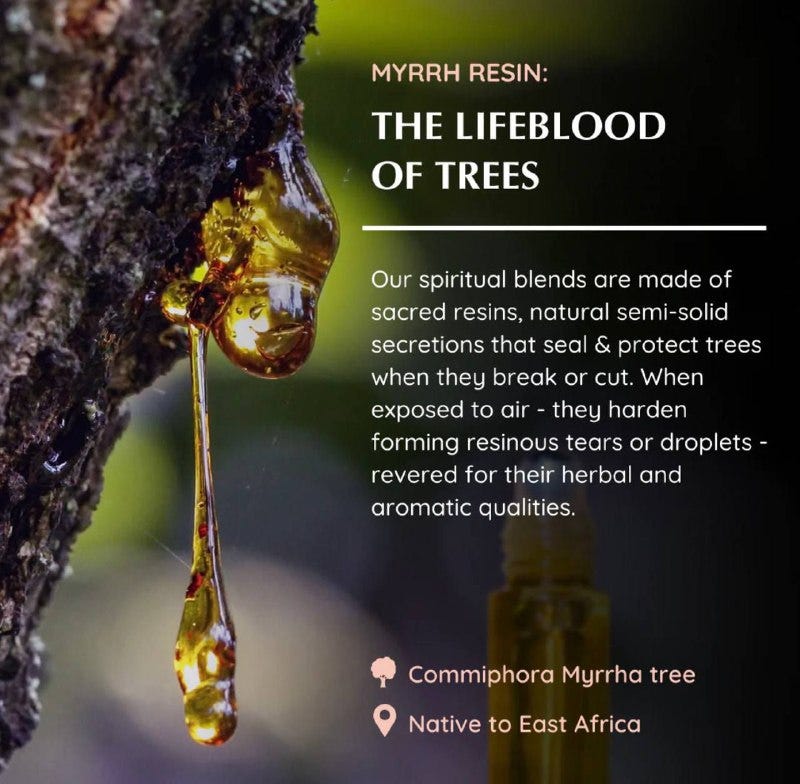 Ancient Remedy, Modern Cure: How Myrrh is Revolutionizing Treatment for ...