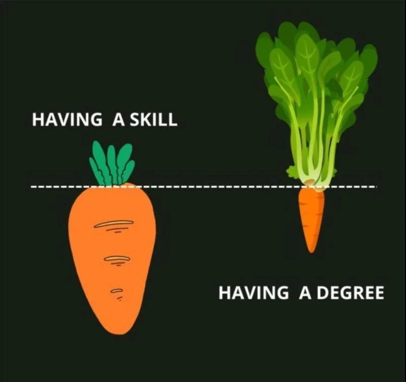 Skills vs. Education: Which Path Leads to Success in 2024? | by Samrina ...