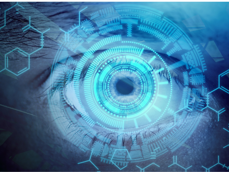 Building A Custom Object Detection Model With Yolov8 By Maram Trackit Medium