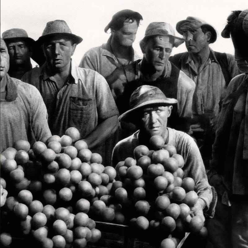 summary of “The Grapes of Wrath” by John Steinbeck | by Frank Reuter ...