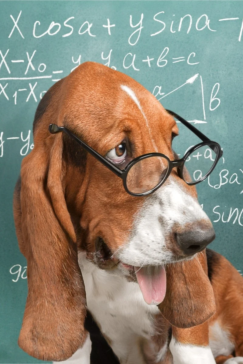 A Fun Maths Game that You Can Win All the Time | by Mike the Mystery ...