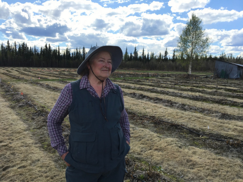 Women Are Empowering Alaska’s Business and Economy | by Anastasia ...