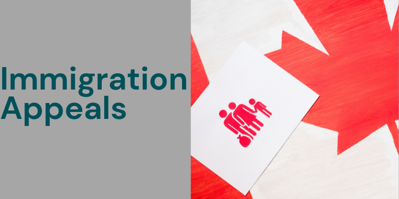 Immigration Appeals - ROSS TAYLOR - Medium