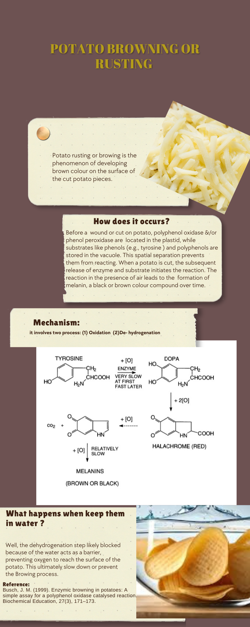 Potato Rusting — a common phenomenon behind browning of potato piece ...