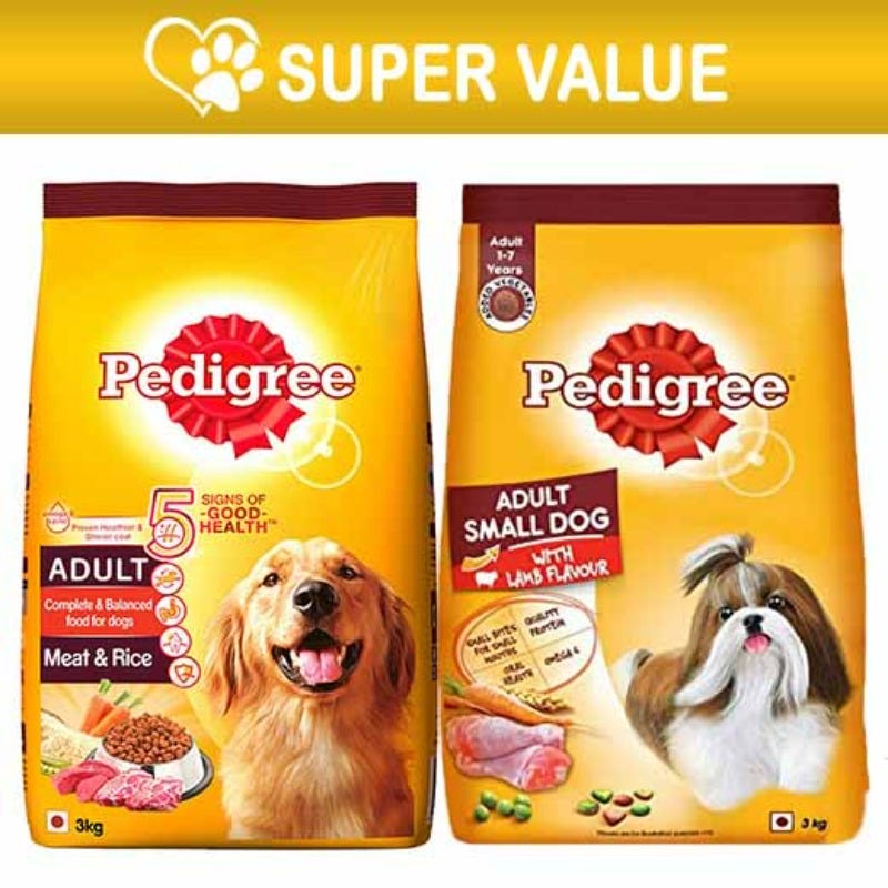 7 Essential Products to Care for Your Dog in Summer | by Darling Pets ...