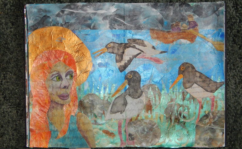 Bridie’s Birds. Swans and ravens, ravens and swans… | by Nalini MacNab ...