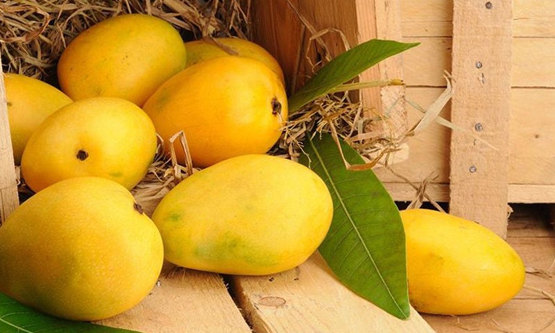 Best Mango Exporter in Pakistan. There is too many mango exporters in ...