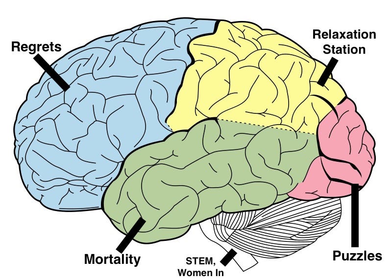 Issue #2: The Human Brain. It’s time for Issue #2 of Not Rocket… | by ...