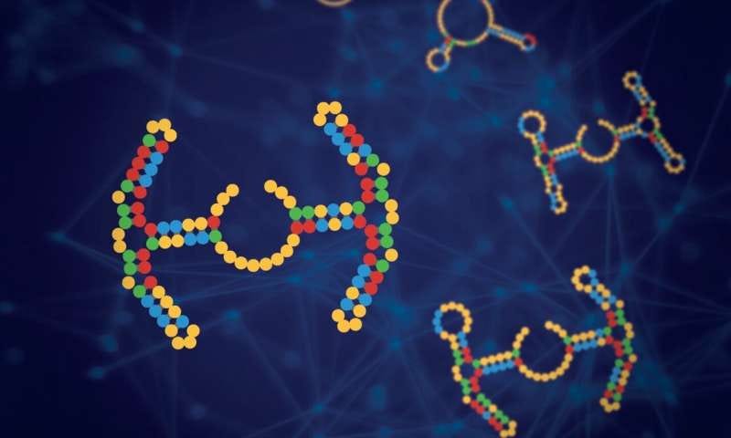 Machine Learning in RNA Bioinformatics | by Mukundh Murthy | The ...