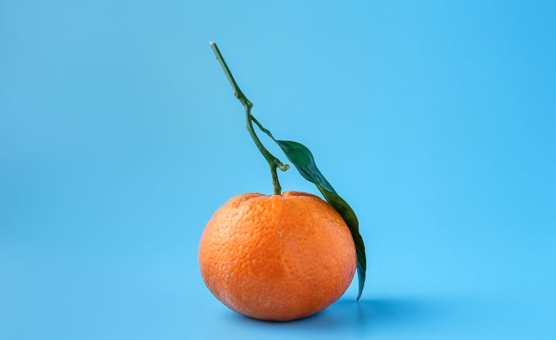 When Is an Orange More Than an Orange? | by The Good Men Project ...