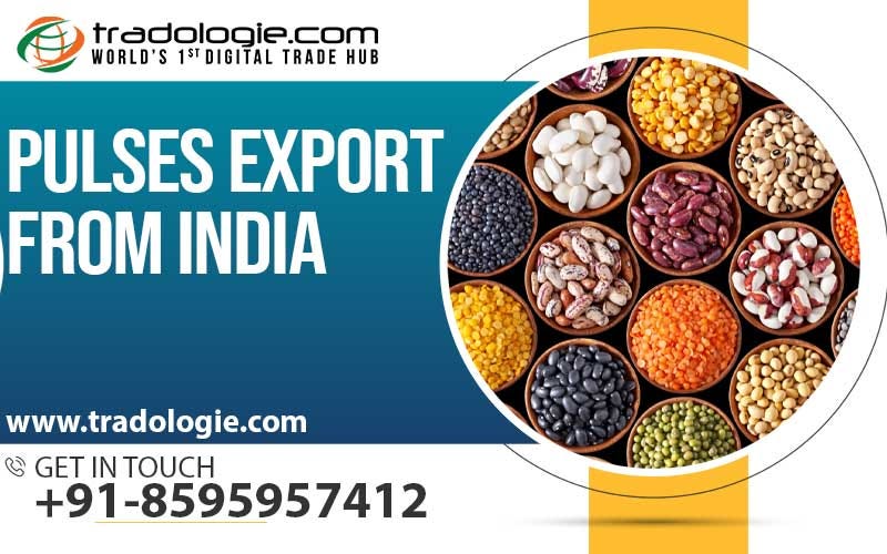 Pulses Export From India - Tradologie - Medium