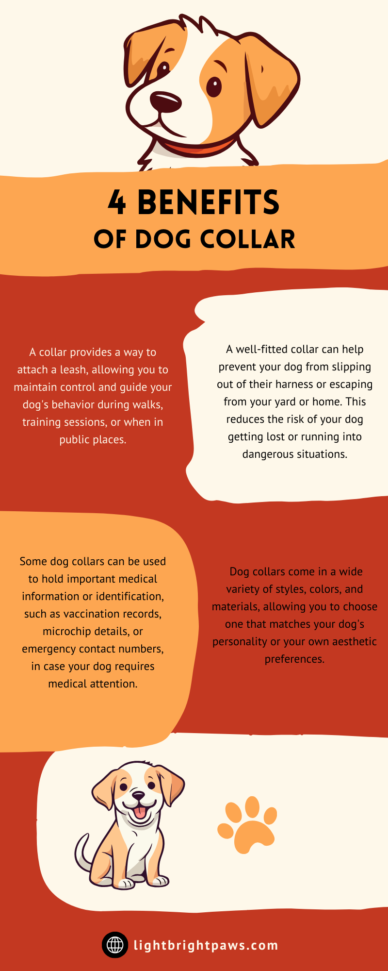 Dog Collar Benefits: Unveiling the Top 5 Advantages - Light Bright Paws - Medium