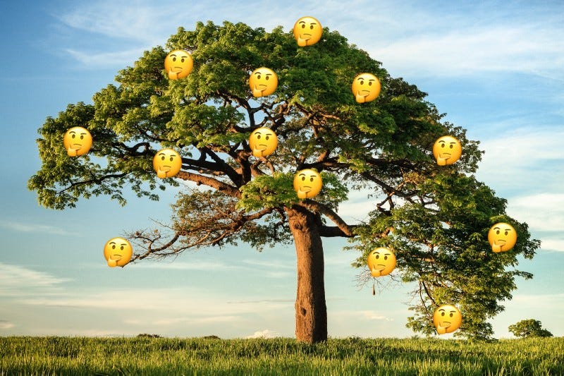 Decision Trees: Introduction & Intuition | by Shawhin Talebi | Towards ...