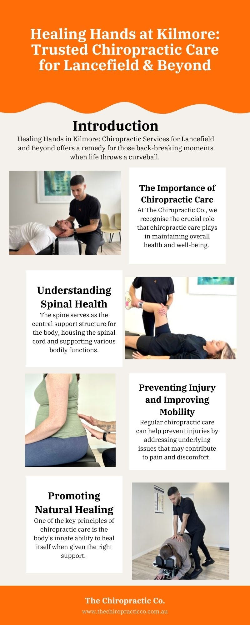 The Importance of Chiropractic Care - The Chiropractic Co. - Medium