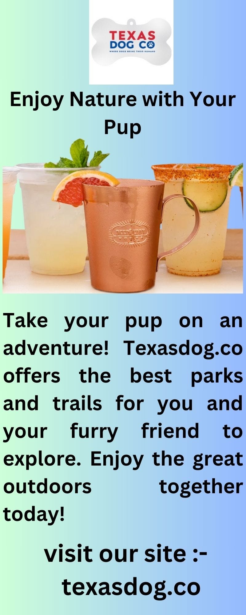 Best Parks for Dogs and Owners - Texas Dog Co - Medium