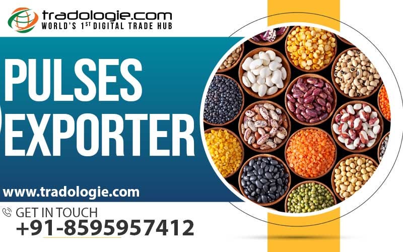 Pulses Exporters - Tradologie - Medium