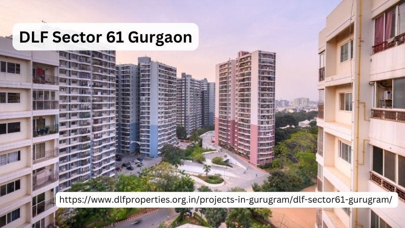 DLF Sector 61 Gurgaon | luxurious Flats by DLF - Vthapliyal - Medium