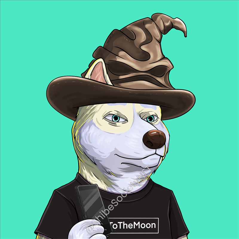 Shibe Society. Step into the world of the rich and… | by Frado Jr | Medium