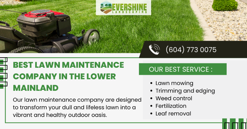 The Best Lawn Maintenance Company in Lower Mainland: Evershine ...