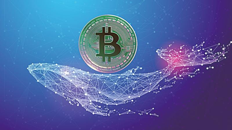 What are crypto whales and how to track whales？ | by Tokenview.io ...