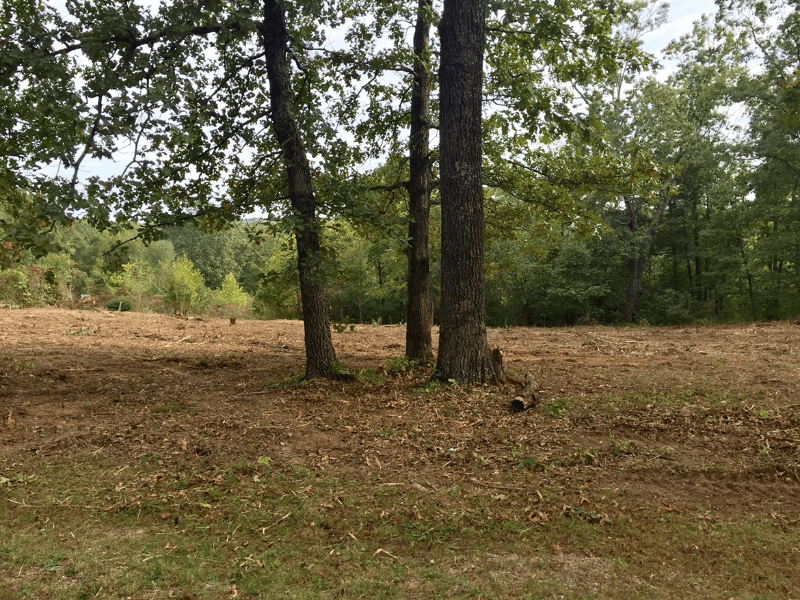 Forestry Clearing in Illinois - Rightway Forestry Clearing - Medium
