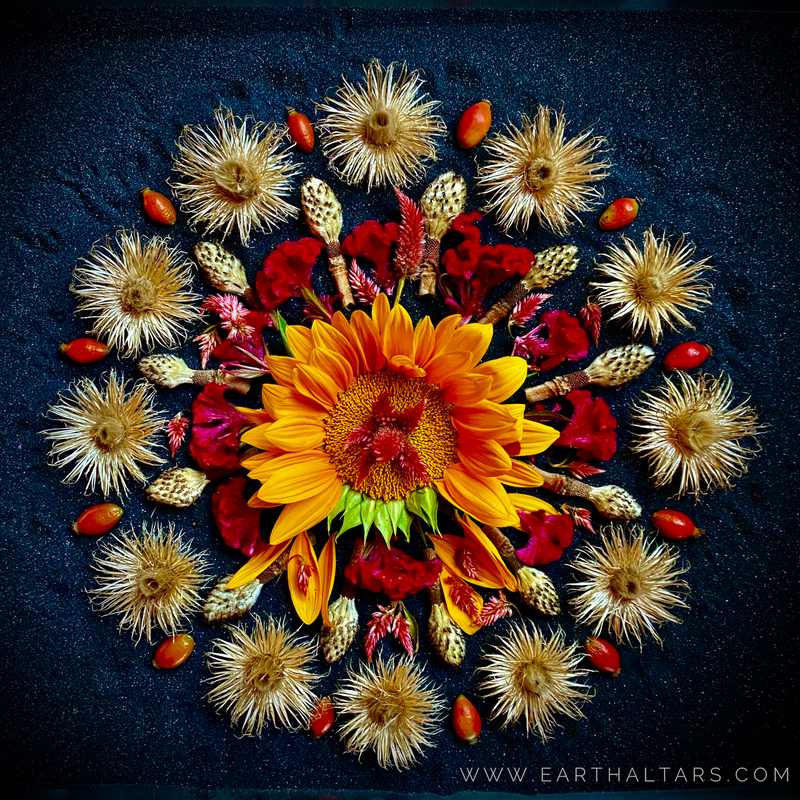 Post Growth Ripples: December 2021 | by Post Growth Institute | Post ...