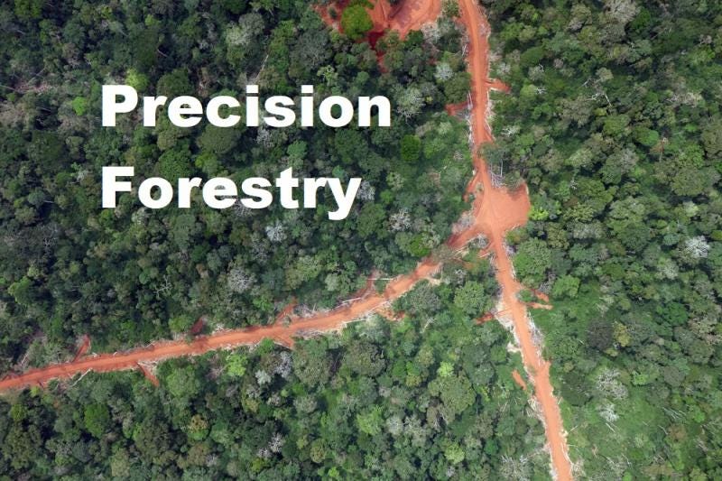 Precision Forestry Market 2023–2033: Size, Share, Trends, and Analysis ...