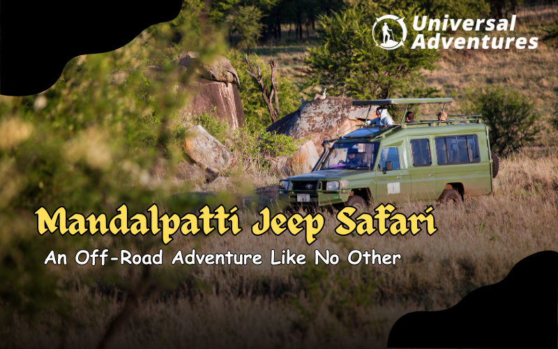 Mandalpatti Jeep Safari: An Off-Road Adventure Like No Other | by Your ...