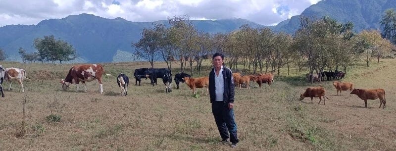 "Youth Entrepreneurship Plan" helps you soar - Mao Jing’s inspirational ...