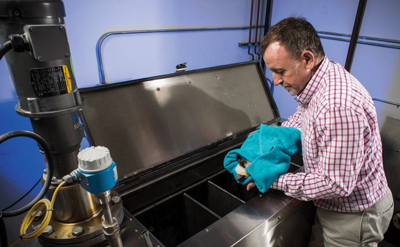 The Complete Guide to Pet Aquamation Process | by Candace Massey | Apr ...