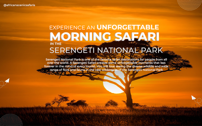 Discover How A Morning Safari In Serengeti Looks ...