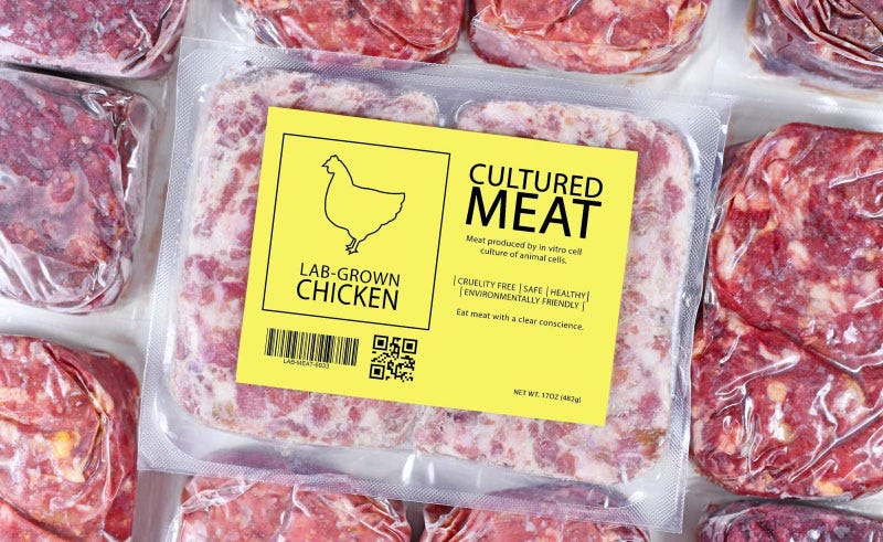 Cultured Meat: The Challenge of Perfecting a New Food Source | by Ilina ...