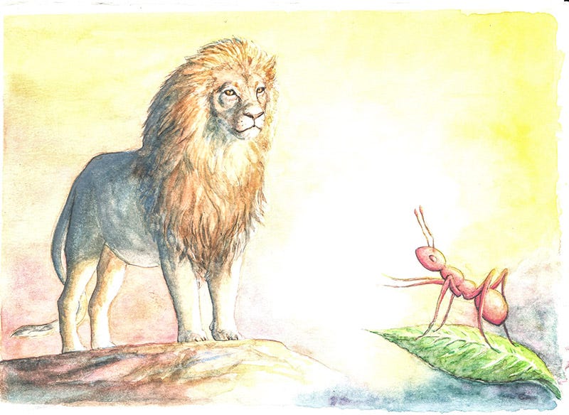 The Friendship of lion and an Ant: | by Jawad Ahmad | Medium