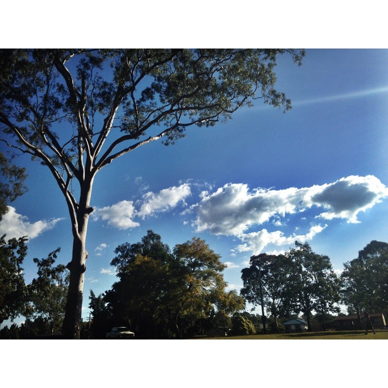 Thanksgiving Down Under: Why I Still Celebrate Every Year | by Caught ...