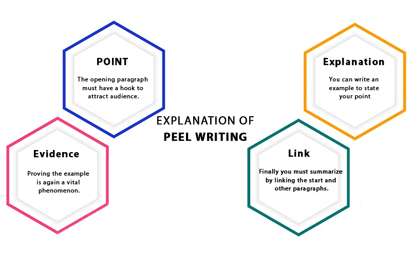 How to structure paragraph by using the PEEL method | by Mary Gomes ...