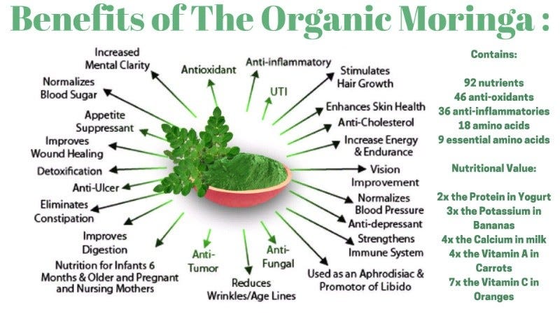 Maximising Your Body’s Potential For A Super Life With Moringa! | by ...