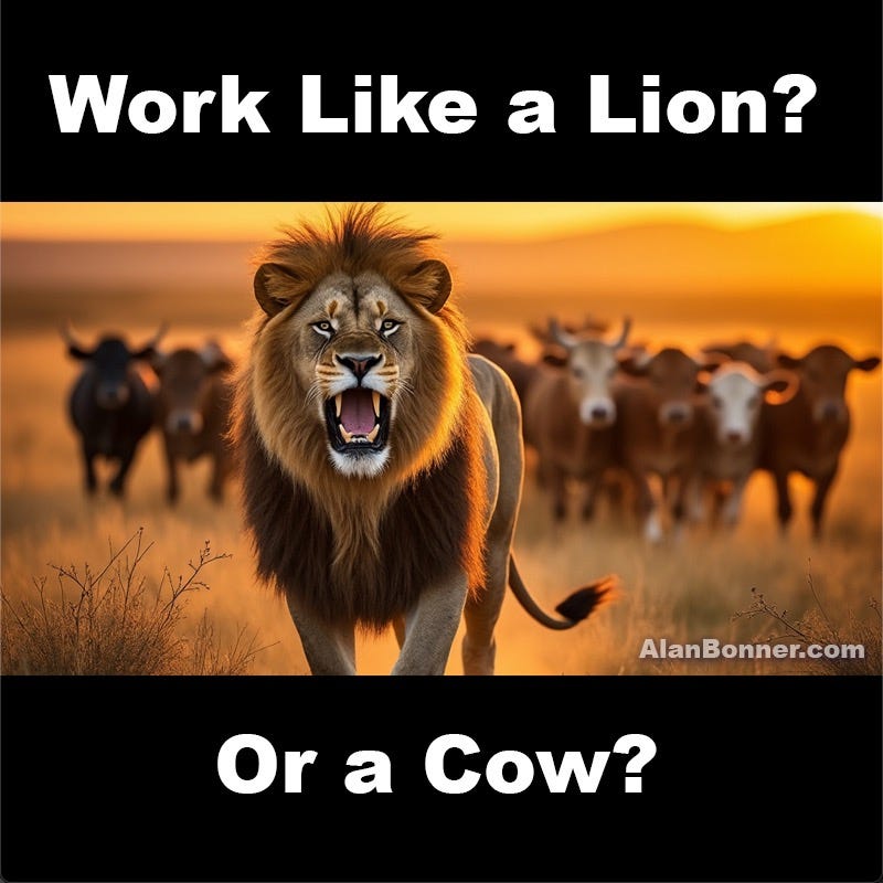 Do You Work Like a Lion or a Cow? | by Alan Bonner | Sep, 2024 | Medium