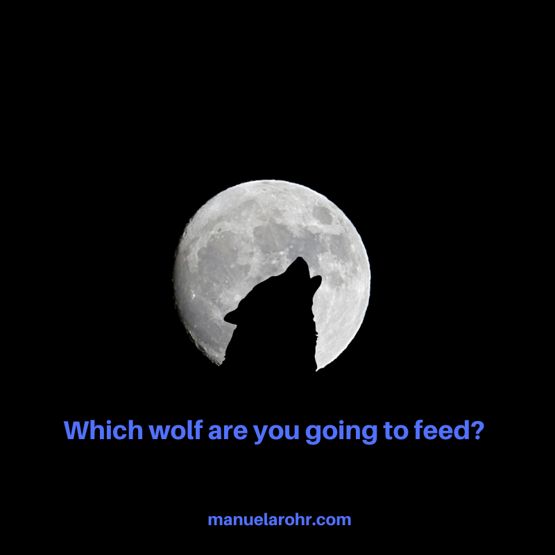 Which Wolf Are You Going To Feed? | by Manuela Rohr | Medium