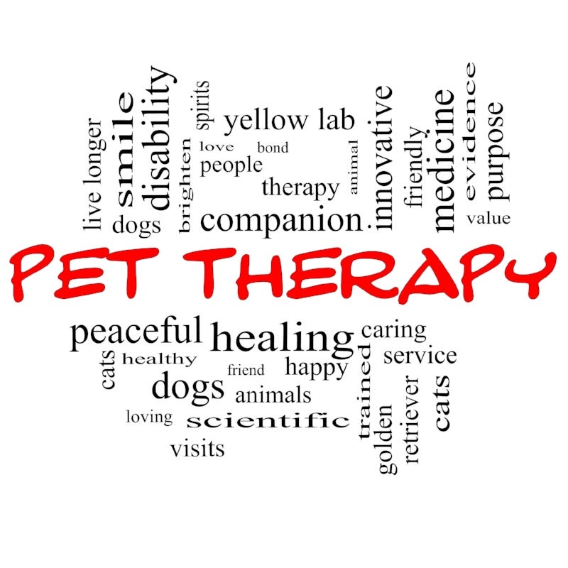 Pet Therapy: The new face of physical, psychological, and therapeutic ...