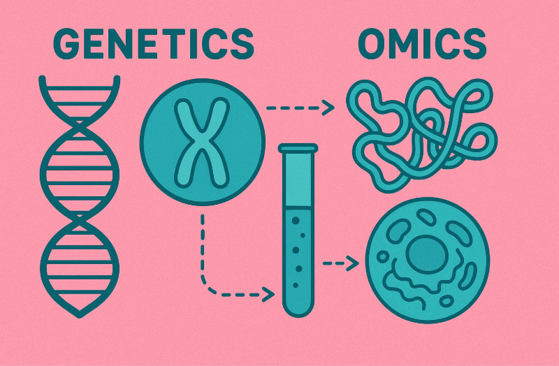 The ‘Omics’ Landscape. Genomics, Proteomics, and Beyond | by Genomes.io ...