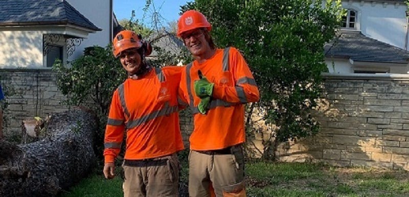 Revitalize Landscape with Tree Removal Services in San Angelo, TX | by ...