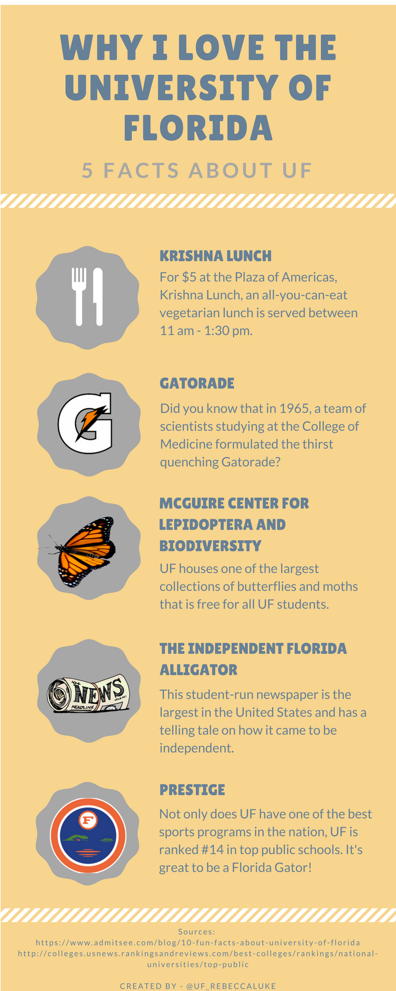 Why I Love the University of Florida | by Rebecca Luke | Medium