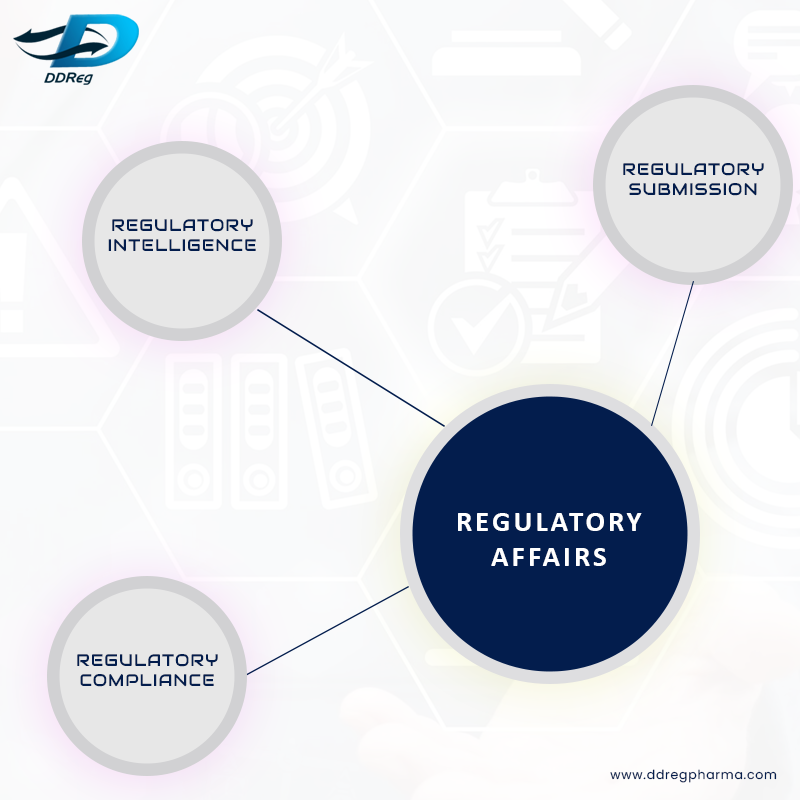 Regulatory Services in Spain | DDReg Pharma - DDReg Pharma - Medium