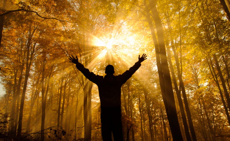 Returning From the Realm of Ideas to the Immediacy of Now | by The Good ...