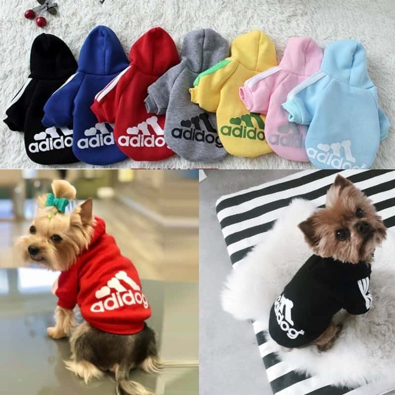 Adidog Hoodie - Socialbrower - Medium