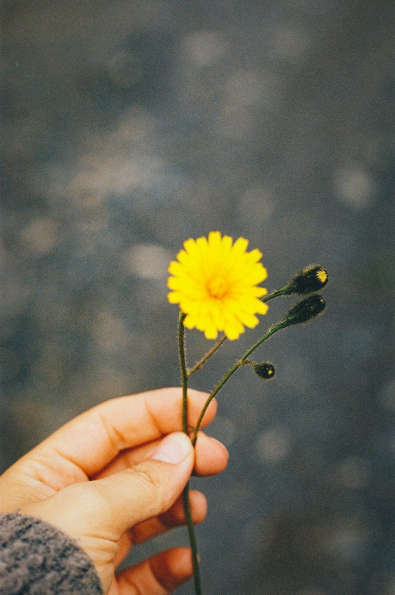 How to Stand on Your Own Two Feet When No One Supports You | by Flaye ...