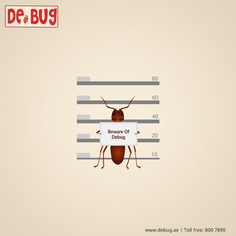 Cockroach control in Dubai. There is a huge problem with… | by Debug | Medium