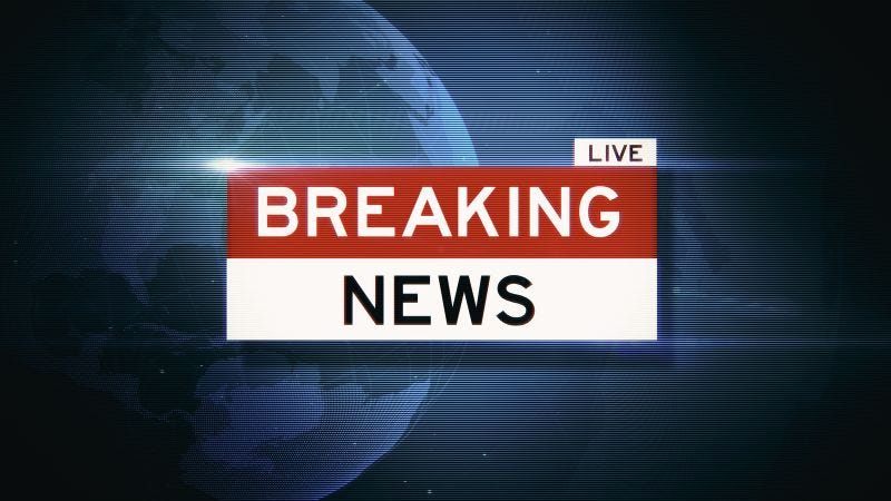 The weirdest news stories from around the world | by Eve S Evans ...