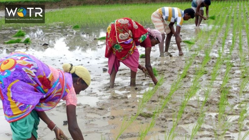 Water Resource Management for Livelihood Security: Innovations and Impact | by Wotr | Medium