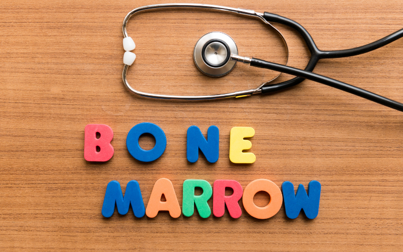 Navigating Bone Marrow Transplants With Healzone: India’s Premier ...